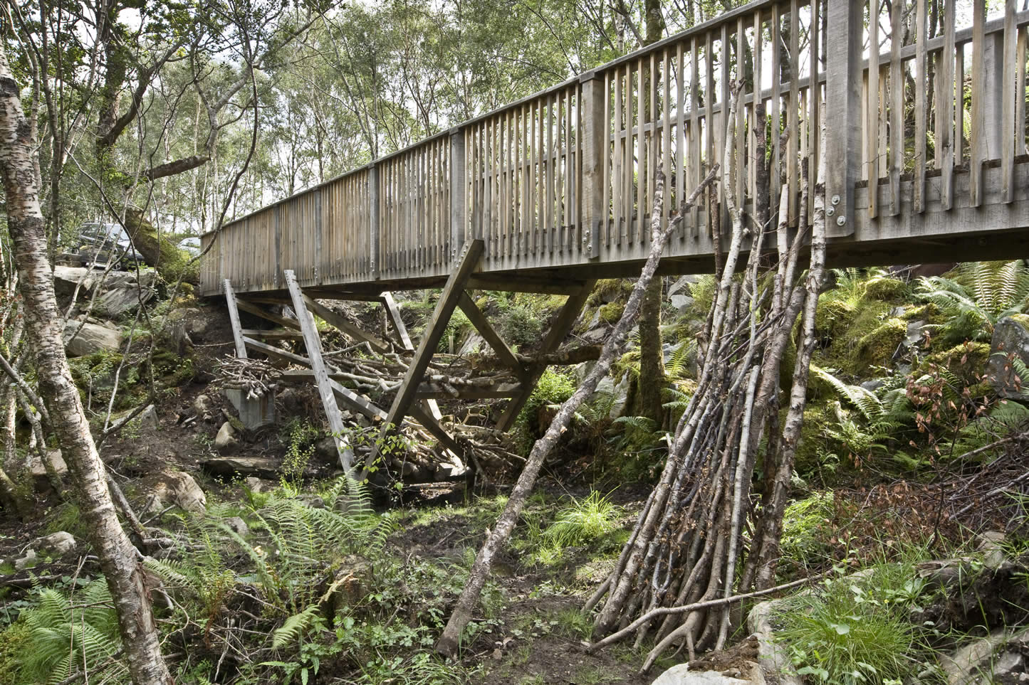 Helen Lucas Architects Edinburgh | project | green oak frame building ...